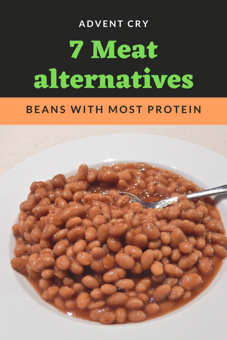 7 meat alternatives - beans with most protein
